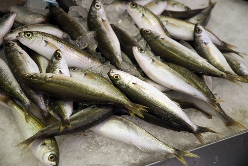 peste oceanic - PapTot.ro - Sarcină, naştere, primul an de viaţă ...